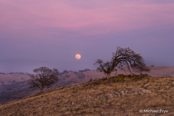 Under a Full Moon - Outdoor Photographer