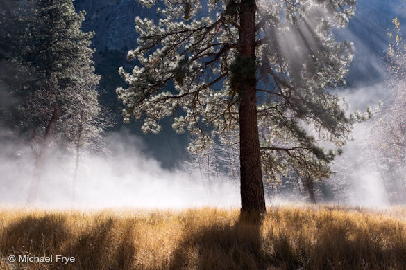 Digital Photography Basics: Reading Histograms : Michael Frye Photography