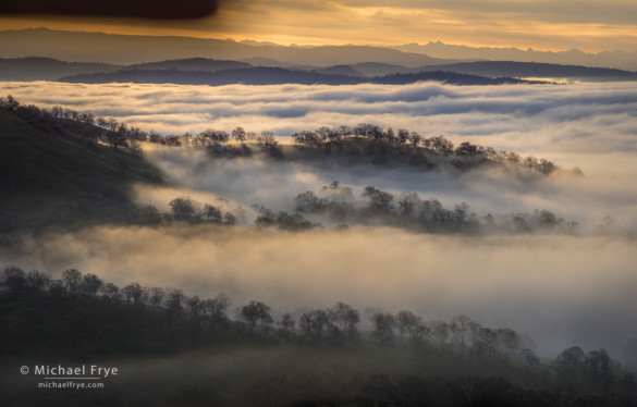 How to Shade Your Lens : Michael Frye Photography