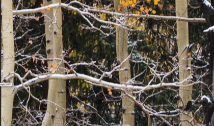 Blurry Photos? Camera Movement, Lens Diffraction, Using a Tripod, Focus