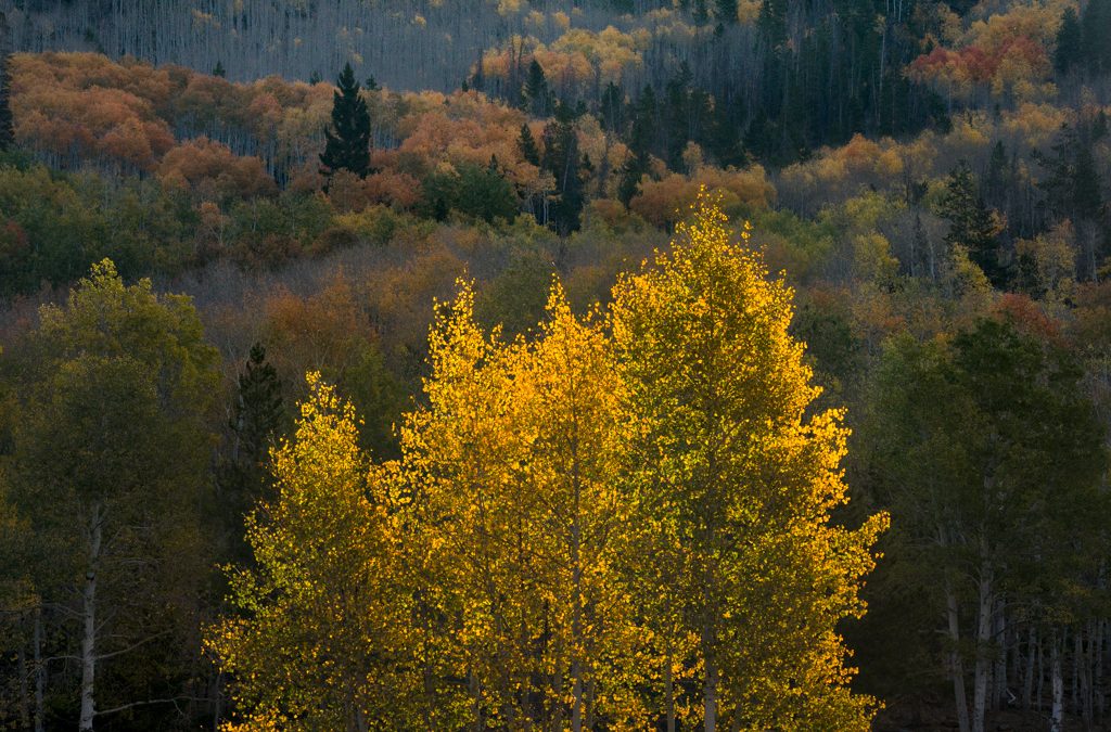 Home : Michael Frye Photography