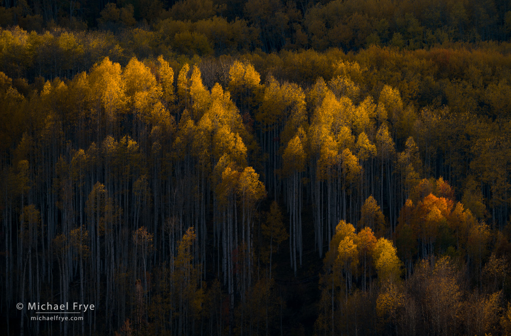 Autumn Light : Michael Frye Photography