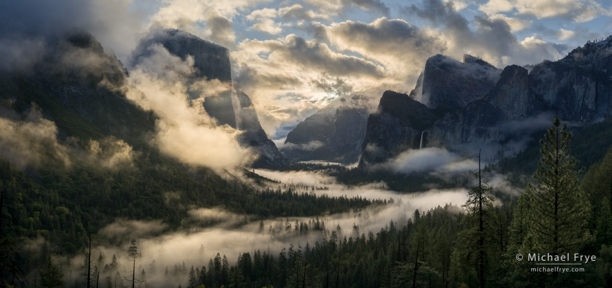 A Yosemite Icon : Michael Frye Photography