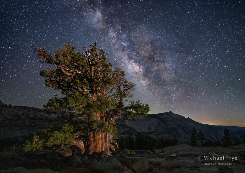 Starry Skies Adventure : Michael Frye Photography