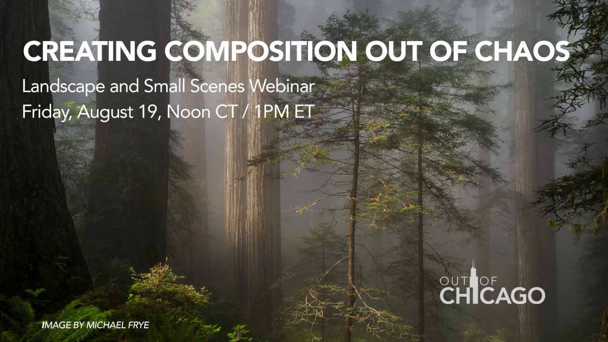 Creating Composition Out of Chaos Webinar : Michael Frye Photography