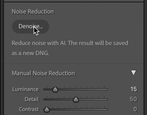 Lightroom's Powerful New Denoise Tool : Michael Frye Photography